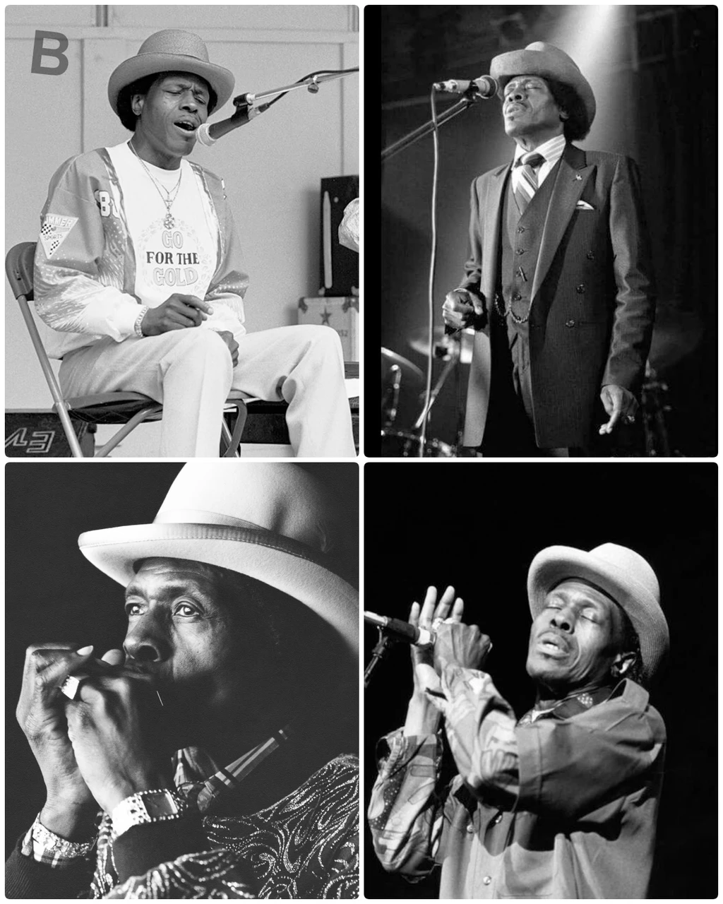 Junior Wells: El Rey del Blues de la Armónica que Dejó Huella en la Historia de la Música - News