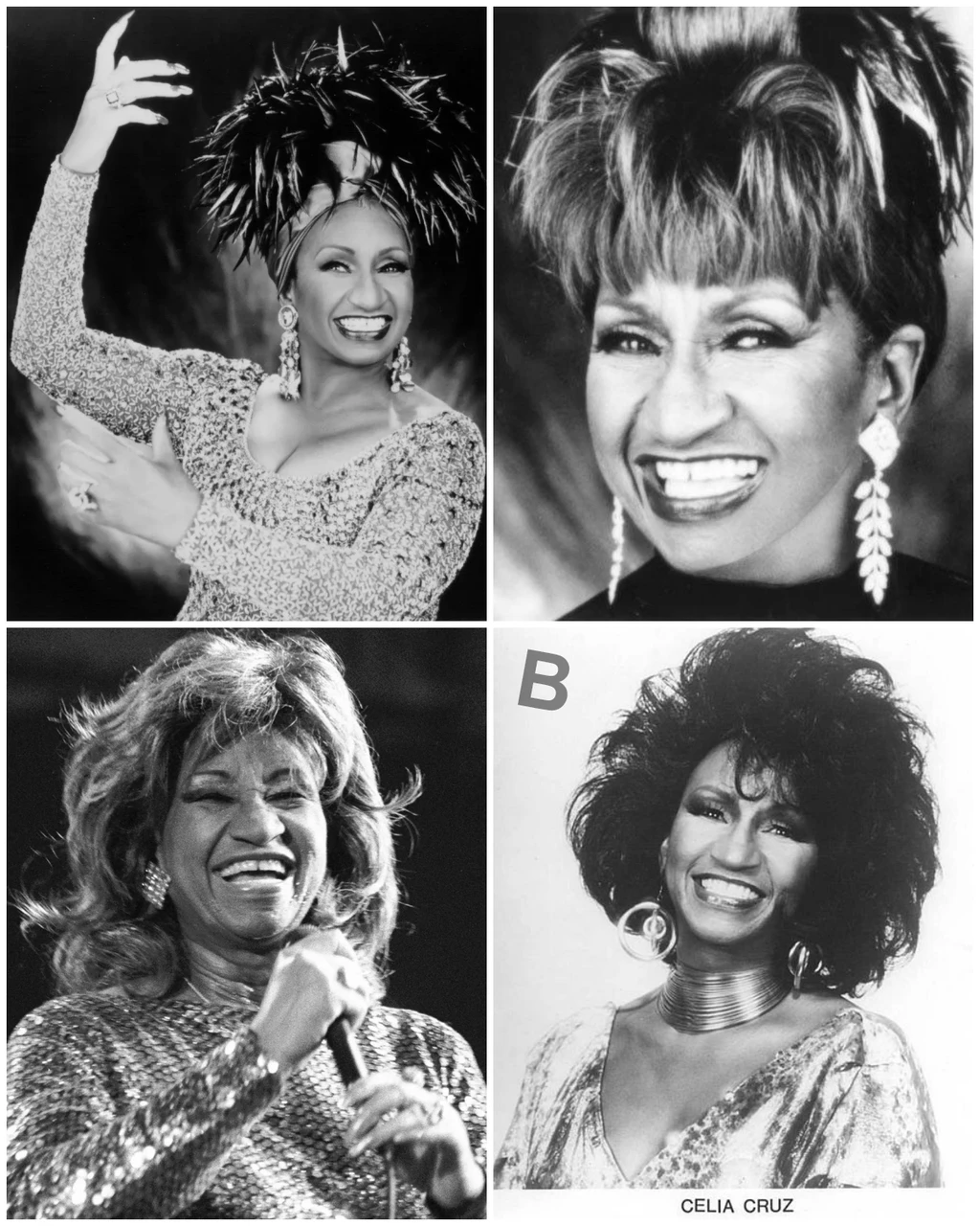 Celia Cruz: La Reina de la Salsa que Conquistó el Mundo con su Energía ...