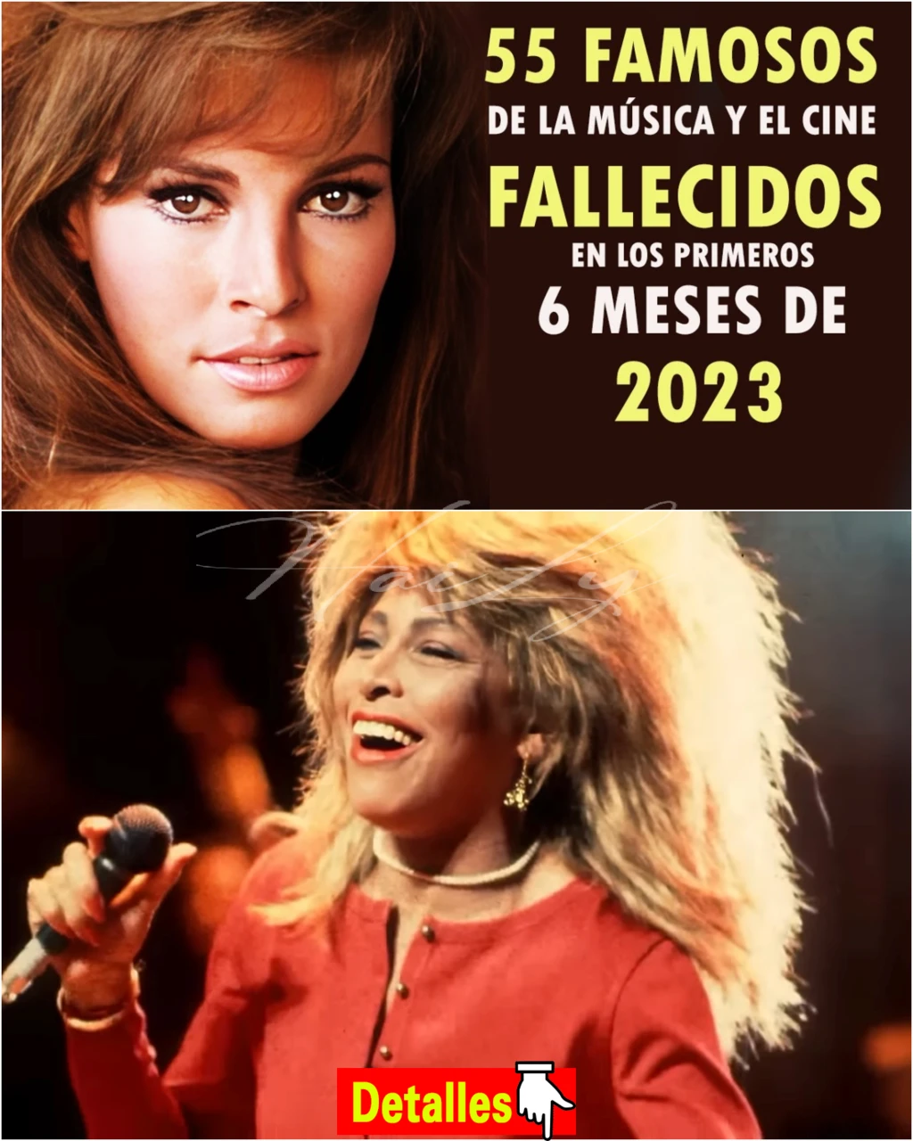 (b00) ¿Te enteraste de todos? Tina Turner, Raquel Welch, Chabelo ...